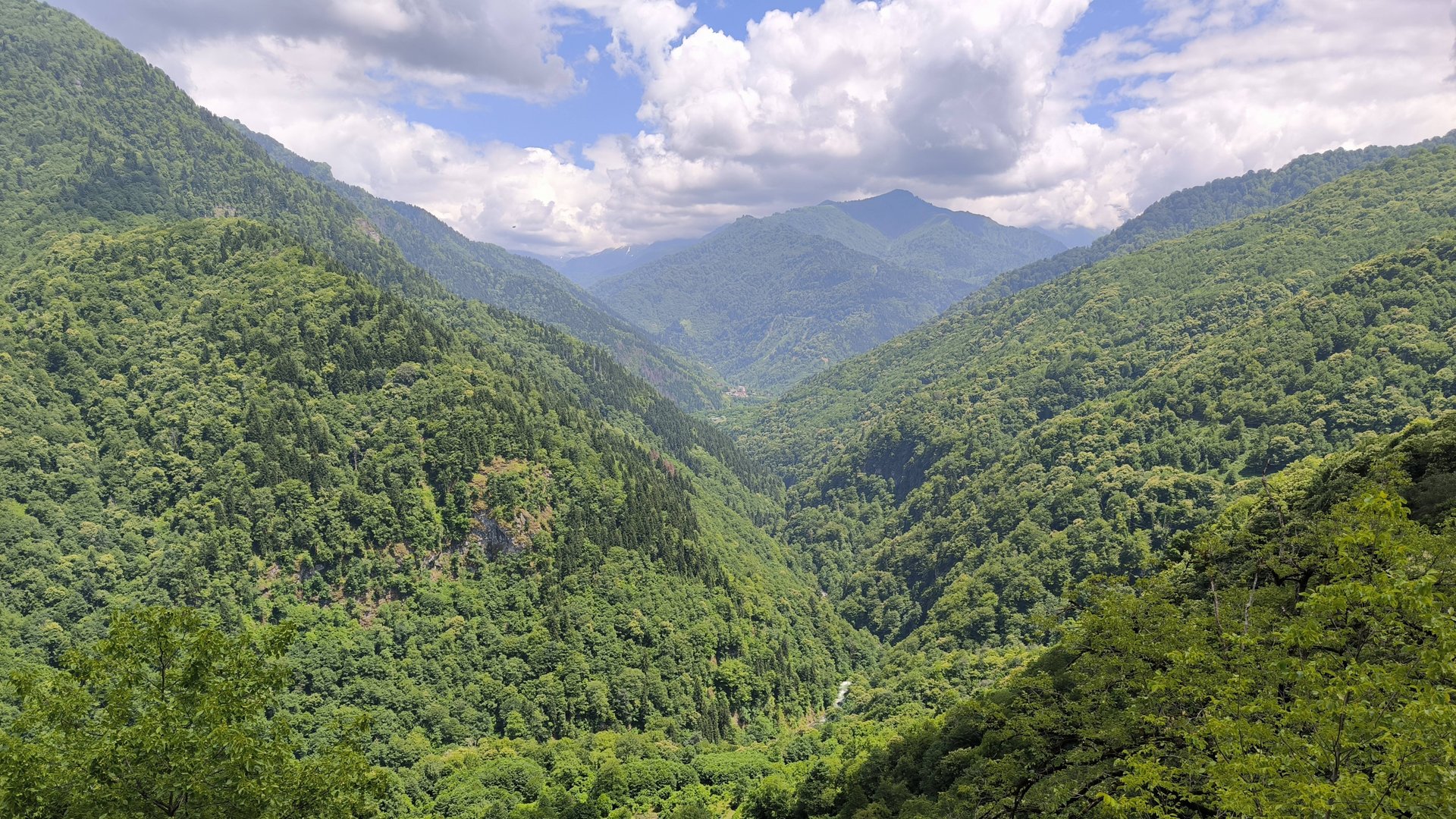 Панорама в сторону турецкой границы от села Зеда Чхутунети в Аджарии
