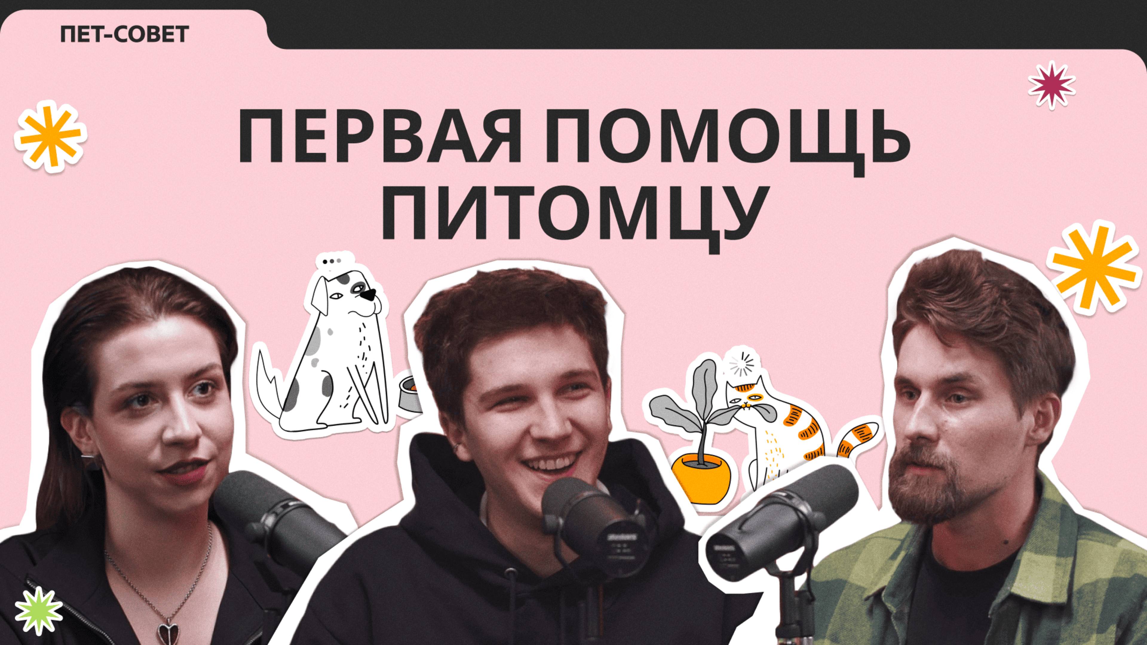 Первая помощь питомцу | Подкаст «Пет-совет»