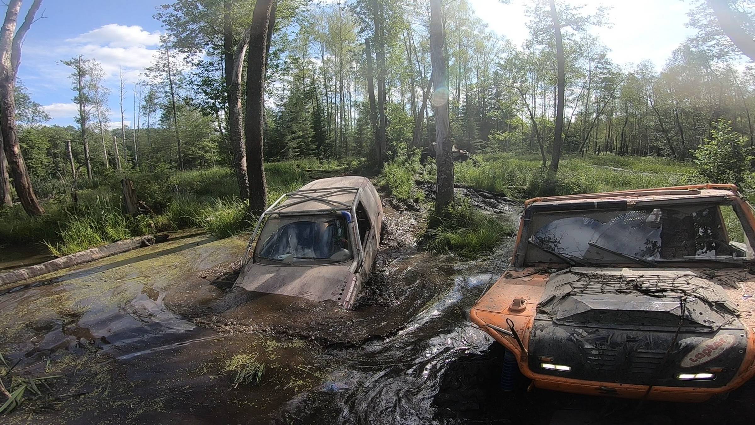 Трофи глазами штурмана: «Енот-Трофи. Лето» 25, г.о.Шаховская, Московская обл., ТР1, Орлов/Вялов