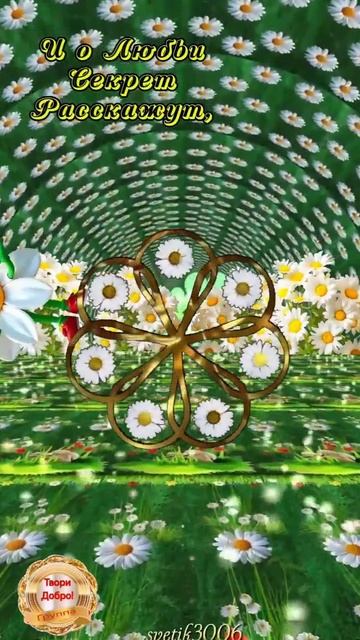 С днём Ромашки поздравляю и большой любви желаю! 24 июня.