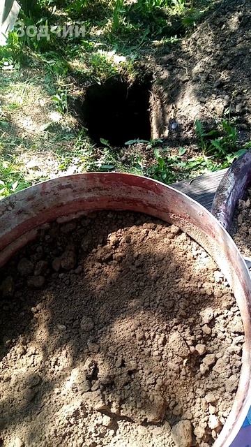 Добываем глину для будущей обработки деревянного каркаса.