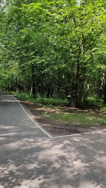 Битцевский парк закатали в асфальт. Июнь 2024г