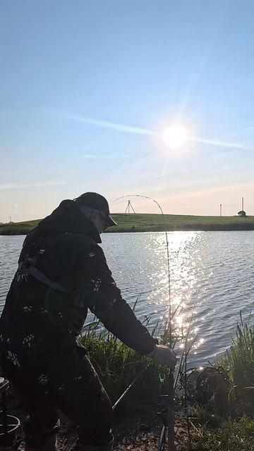 КАРАСЬ ДУРЕЕТ! ПИКЕР В ДУГУ! 🎣🔥 #fishing #рыбалка #природа #nature