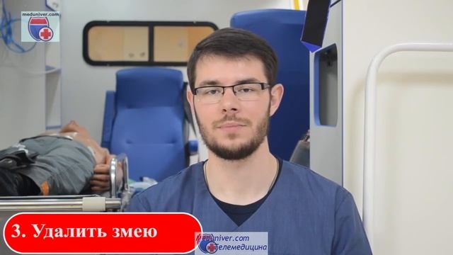 Первая помощь при укусе змеи