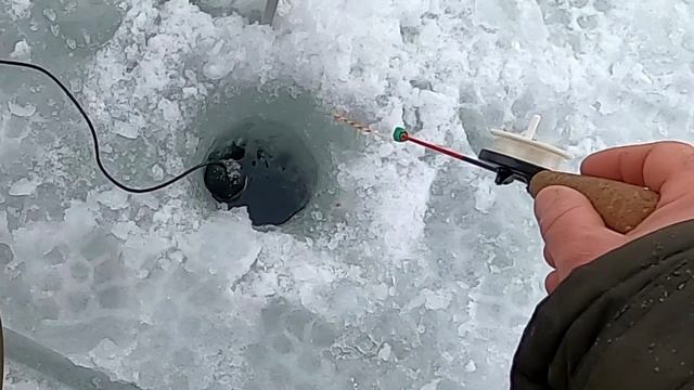 Безмотылка не даёт скучать. Рыбалка в Подмосковье, ловля леща