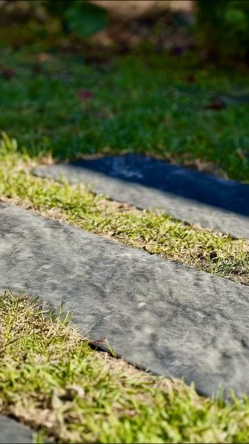 Шаговые плиты Stone
Черный сланец