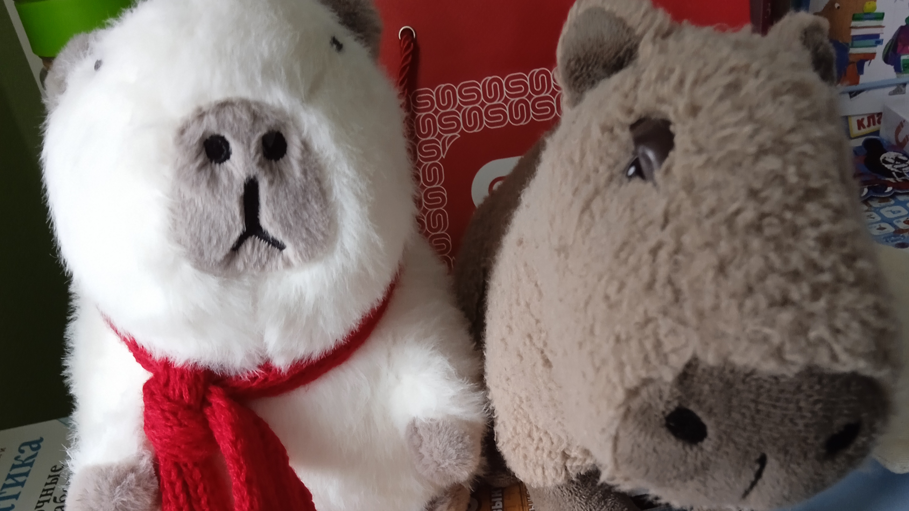 Капибары появилась подружка капибари.Подарки Капибари, наклейки,брелок.