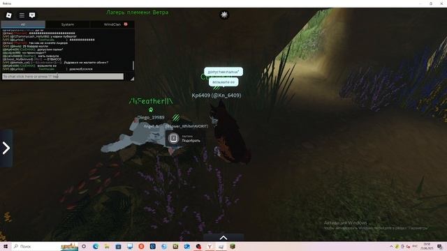 коты воители-урок принятия родов