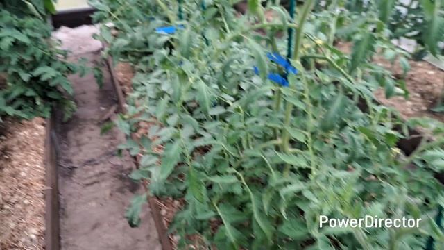 Закончилась вторая декада июня...