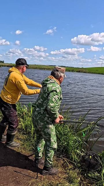 ПИКЕР ОТЛИЧНО ВЯЖЕТ БОЙКОГО КАРПА 🔥 #fishing #carpfishing
