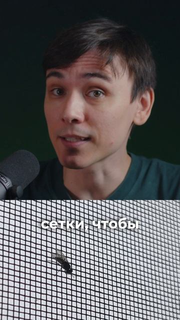 МОЛОДОЙ ЗЕЛЁНЫЙ | ВЫПУСК #15