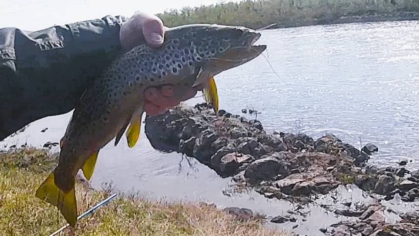 КУМЖА на бутерброды от ПОКЛЁВКИ до САЧКА.