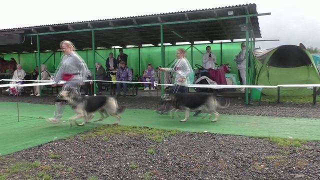 Сравнение на ЛС