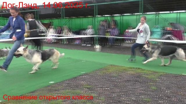 Сравнение открытого класса