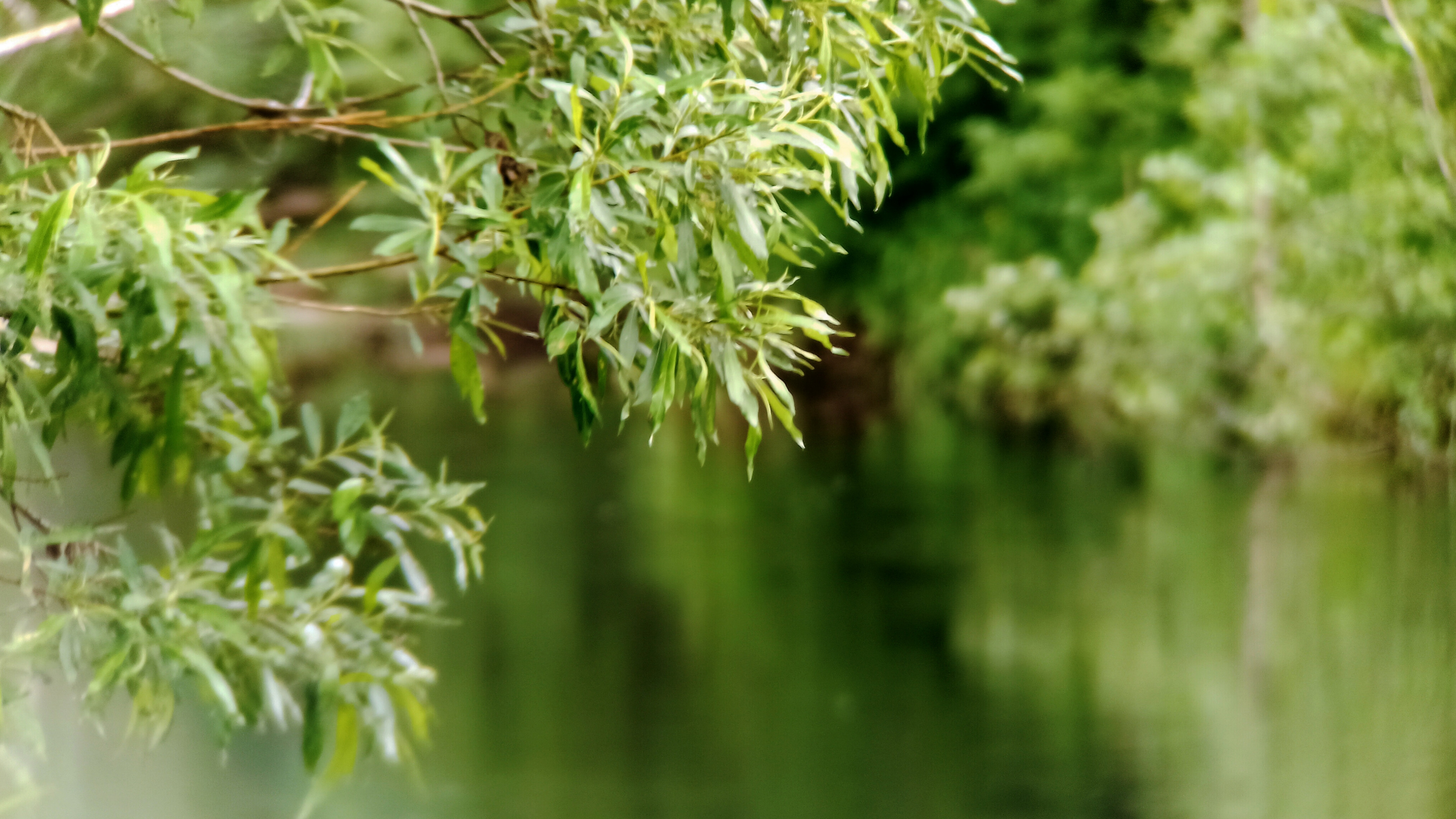 Видео для друзей детства: дорога на бона и, где же родник? 😄