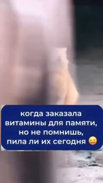 Витамины для памяти =) #shorts