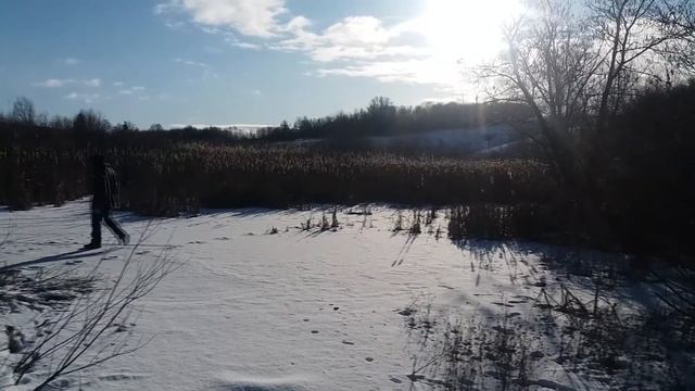 КОРОЧЕ ГОВОРЯ, MINECRAFT