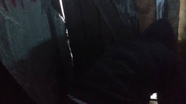 КОРОЧЕ ГОВОРЯ, Карантин