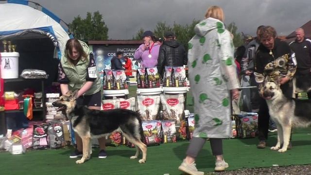 Класс юниоров