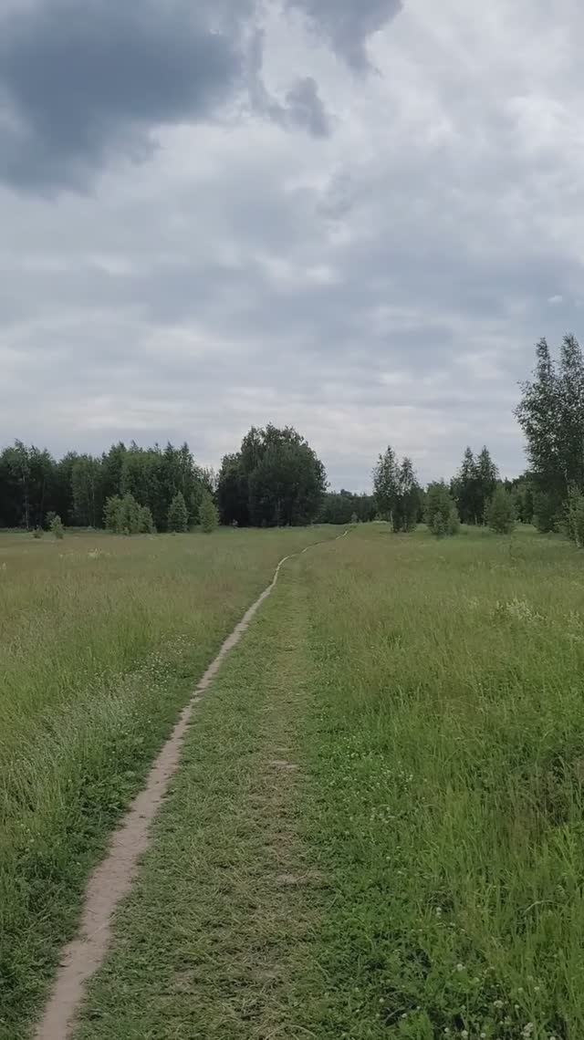 Бутовский лес (релакс). Июнь 2024г (Часть 2)