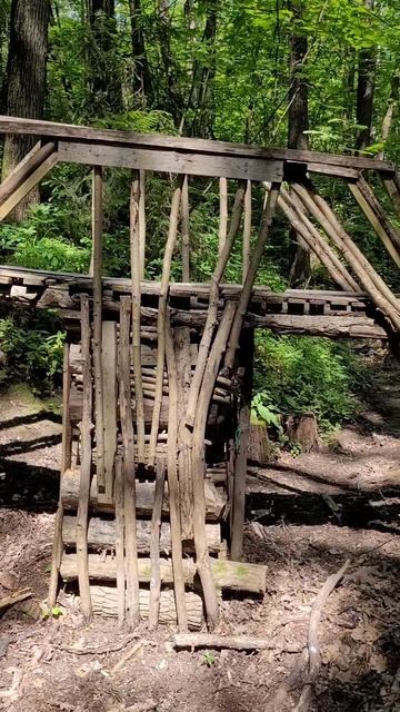 Битцевский парк. Сказочный мост. Июнь 2024г