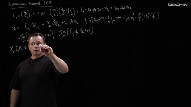 Наумов Д.В. - Стандартная модель - 14. Взаимодействия стандартной модели