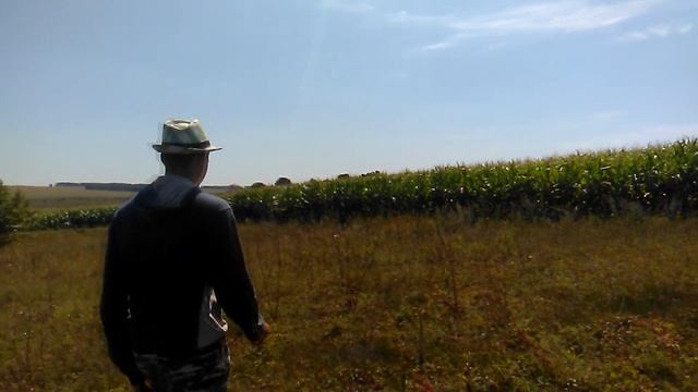 КОРОЧЕ ГОВОРЯ, Сходил за Грибами