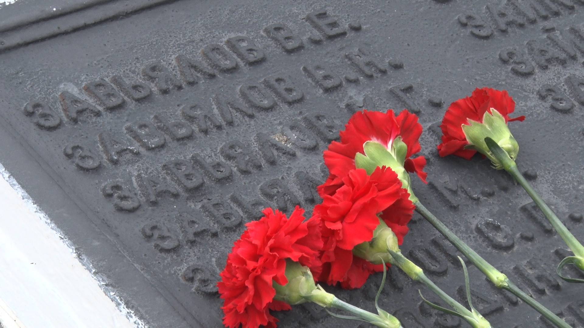 В Шадринске в День памяти и скорби состоялся митинг-концерт «Никто не забыт! Ничто не забыто!»