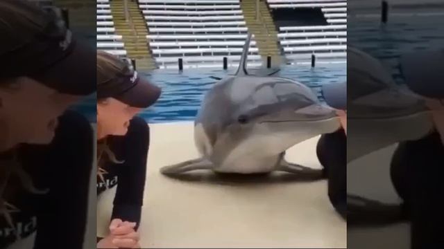 They will kiss for hours 😊