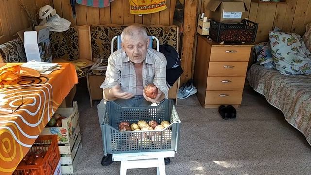 Картошка Как я выращиваю крупный картофель. Полезные советы по выращиванию картофеля