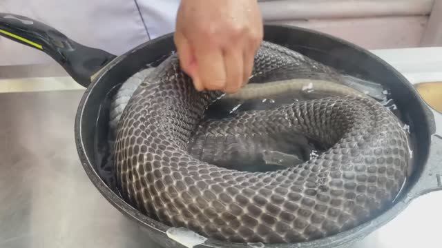 ПРИГОТОВЛЕНИЯ ЗМЕИ