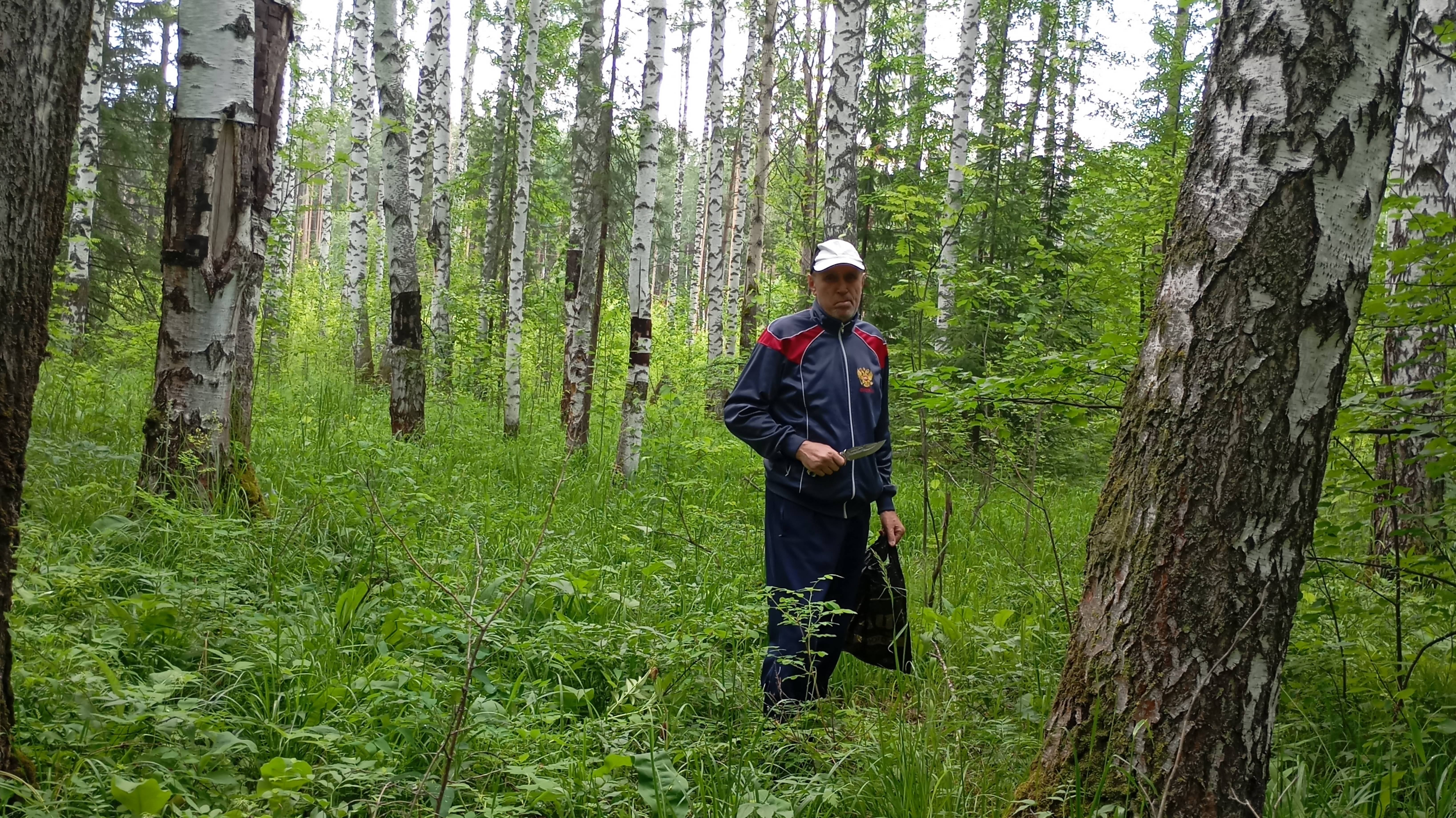 За Грибами. Июнь 2025 г.