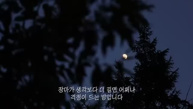 Н냥숲nyangsoop  аконец началось строительство Наш дом