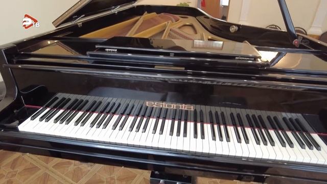 Летний лагерь в хоровой школе