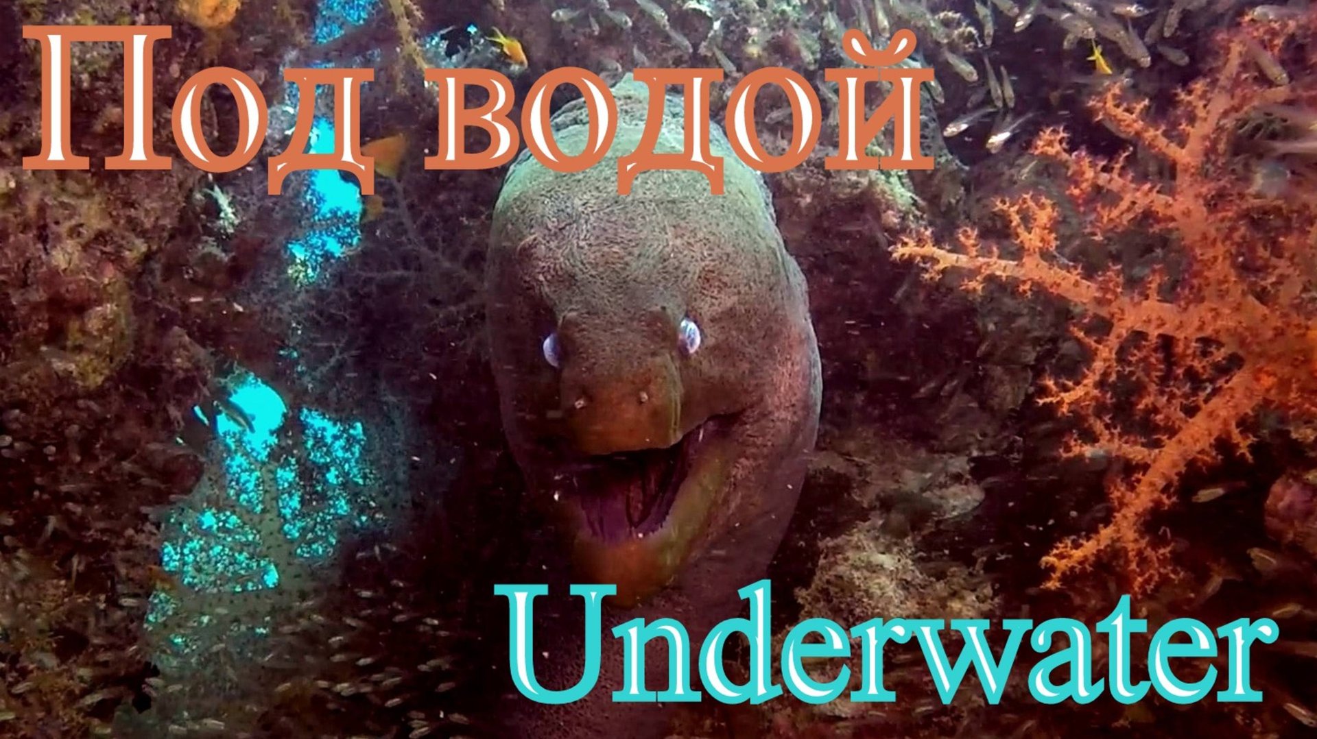 Под водой