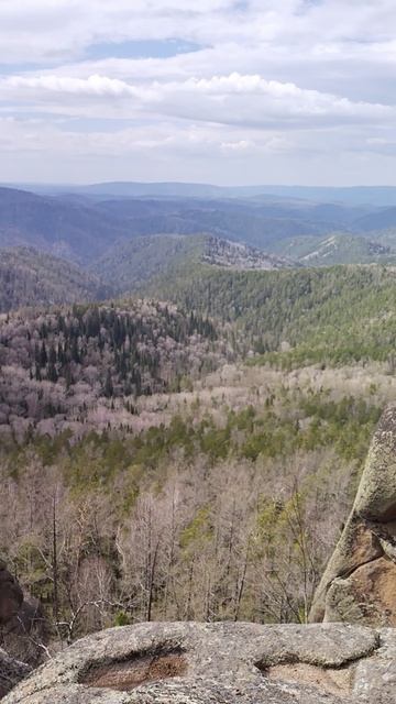 Томск-Красноярск, 2025_19. Столбы