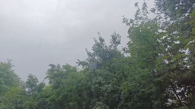 Дождь и шквалистый ветер. Таймлапс