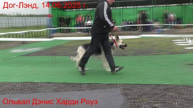 Ольвал Дэнис Харди Роуз