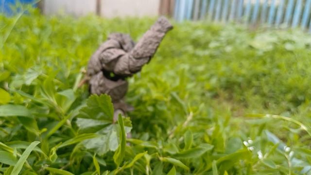 кинг конга остров черипа