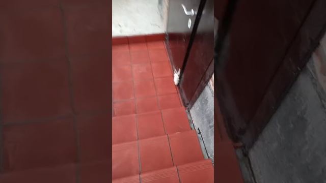 Ступени Verona Астрахань ,  монтаж на гидроизоляционные маты