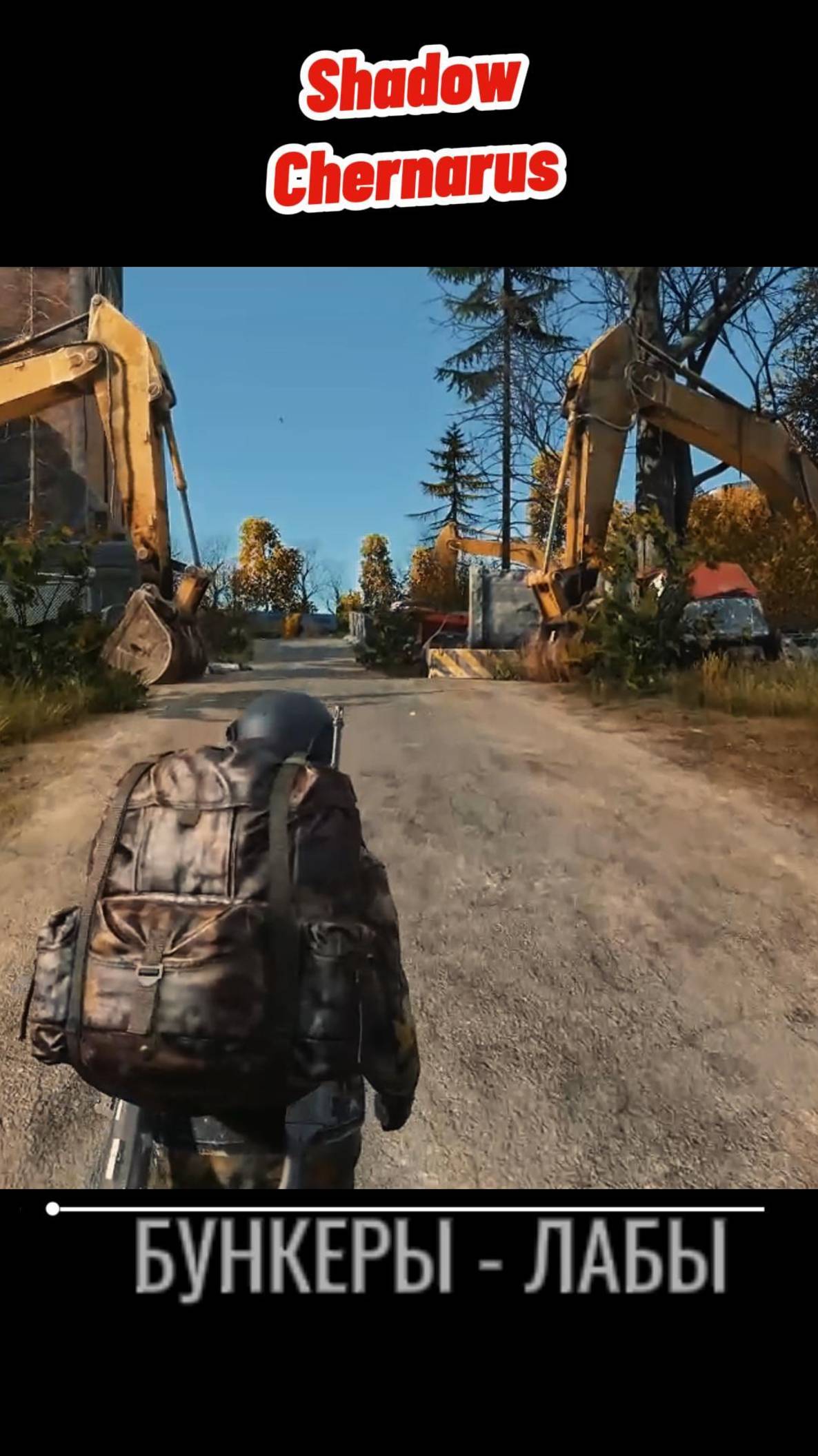 БЕЗ ДОНАТ МАГАЗИНА Dayz server Shadow of Chernarus