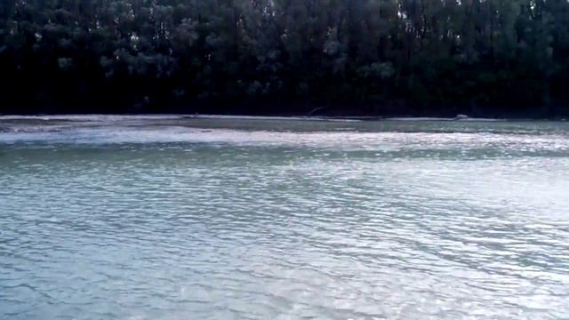 Протока Старица, Бийск (август 2015)