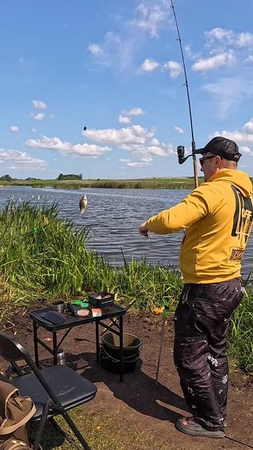 КАРАСЬ ДУРЕЕТ! ПИКЕР В ДУГУ! 🎣🔥 #fishing #рыбалка #природа #nature