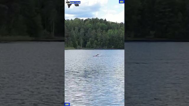 Обычный понедельник наЧерёмуховом озере 23.06.2025 (4К) #юныйпрадедбодрыйдед #авсарх