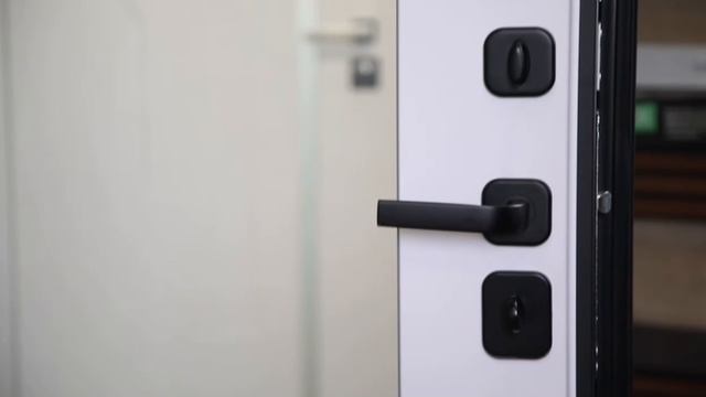 Обзор двери «Сканди»