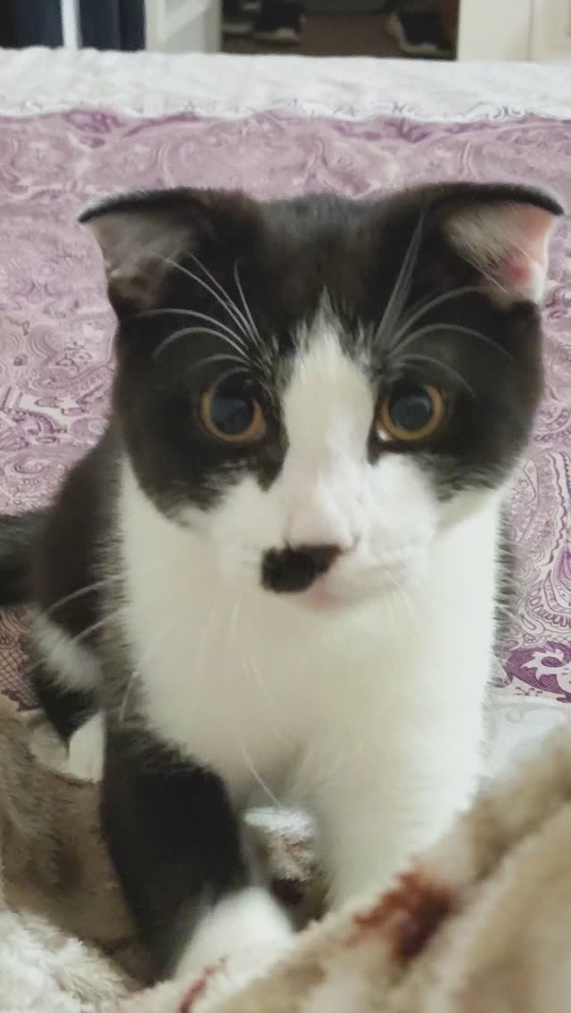 Лечебный массаж