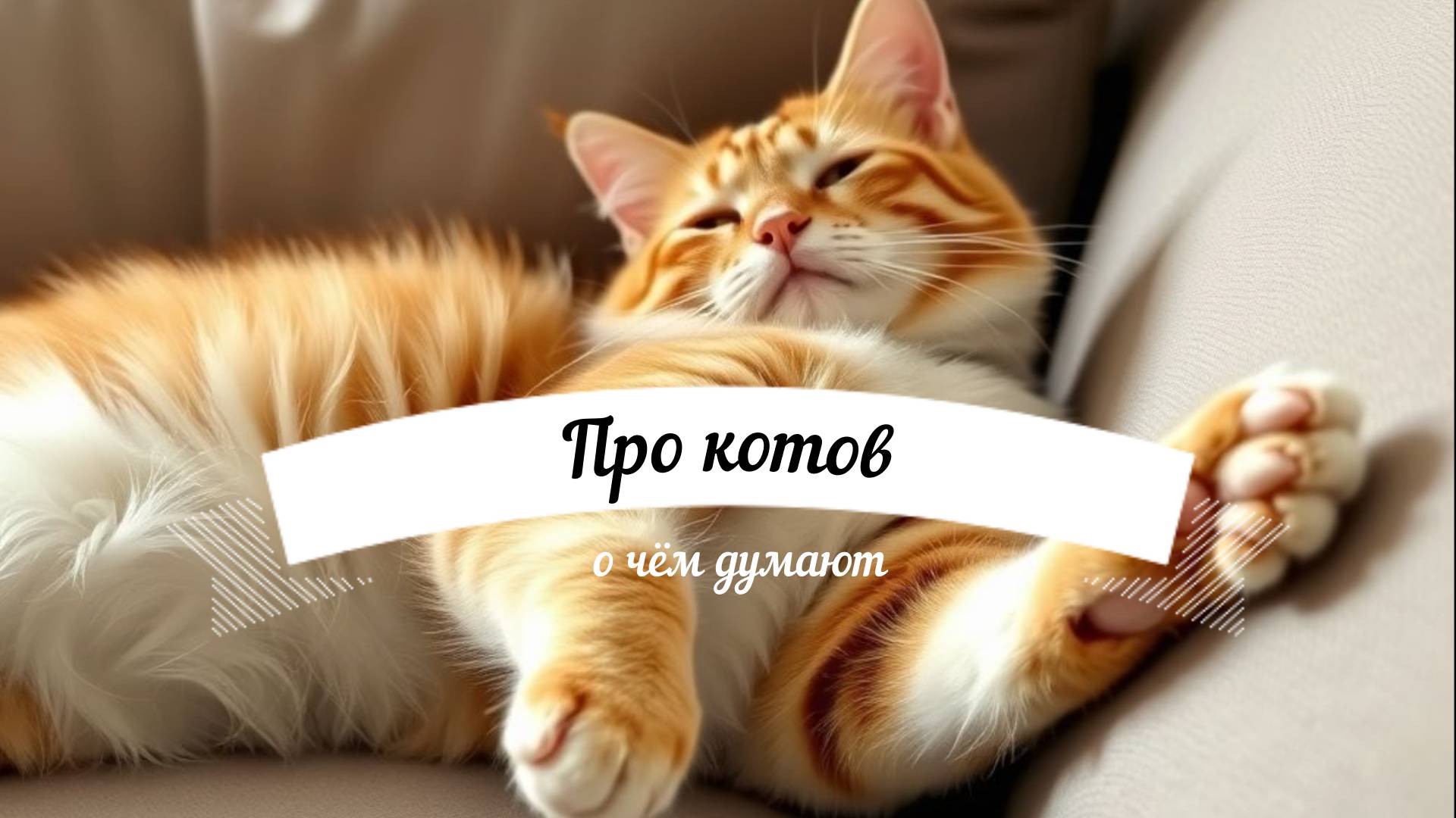 Про котов
