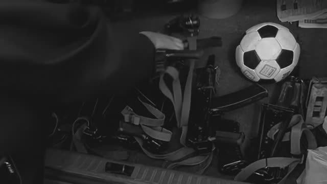 Я ОБЫЧНОЙ ПОРОДЫ   #Мир в ЧерномБелом