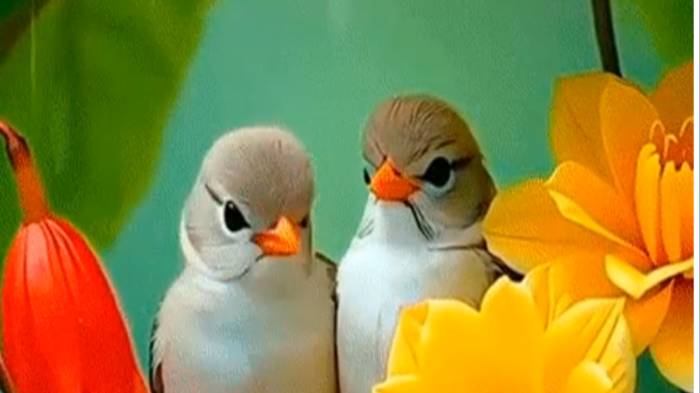 ИЮЛЬ--ВОДОЛЕЙ(астро)