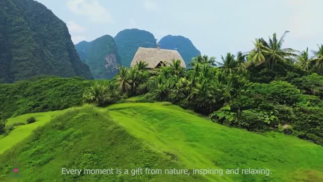 Лечебная Музыка для Снятия Стресса, Усталости, Депресии, Негатива, Детокс негативных эмоций